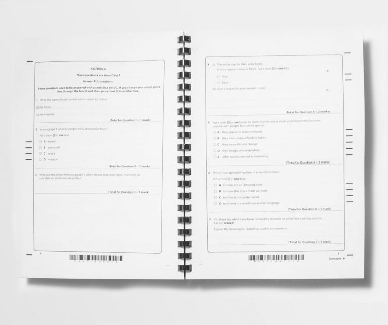 Edexcel Pearson Primary Year 6 English Past Papers - BuukBook