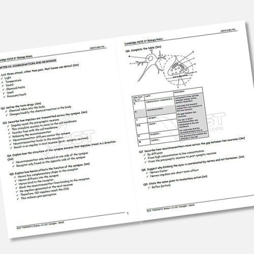VBest Notes BuukBook vbest-notes-buukbook